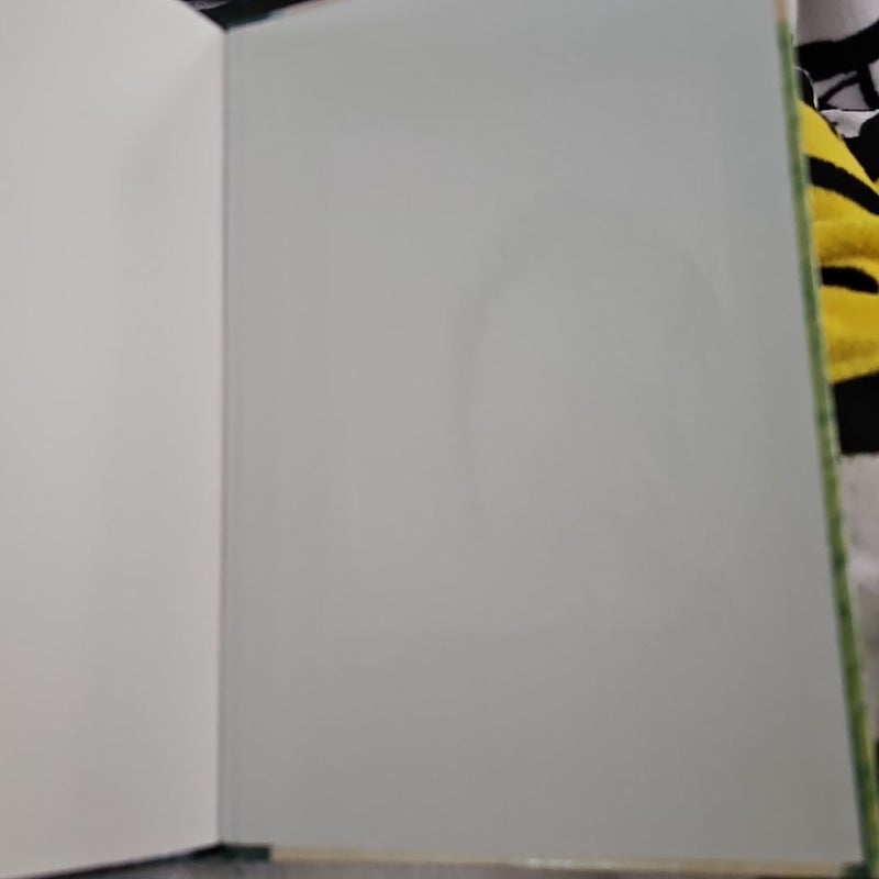 Diego Rivera by Sheila Wood Foard