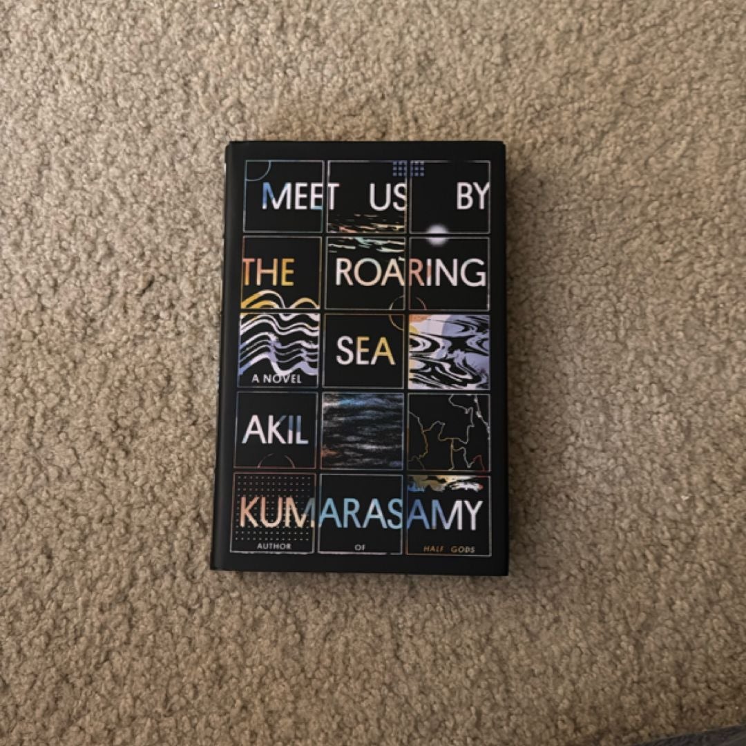 Meet Us by the Roaring Sea by Akil Kumarasamy