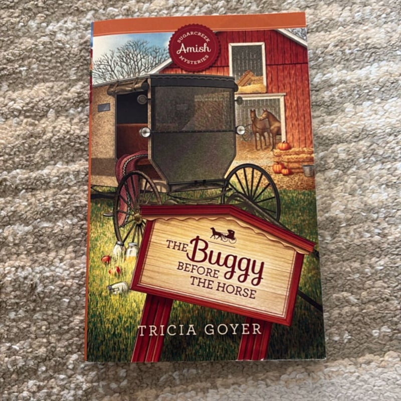 The Buggy Before the Horse by Tricia Goyer, Guideposts