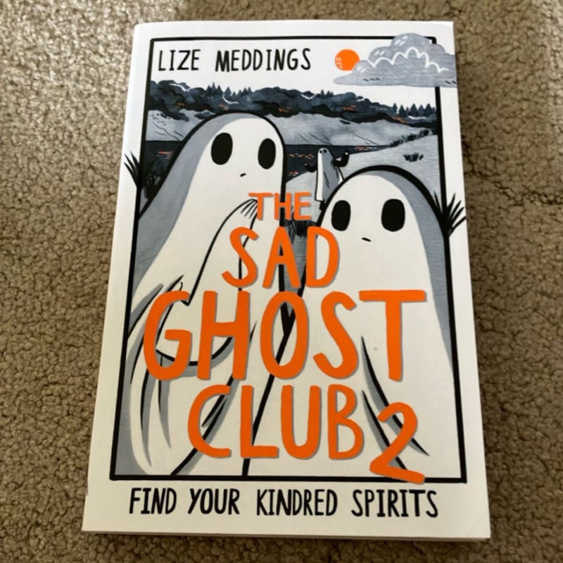 The Sad Ghost Club by Lize Meddings