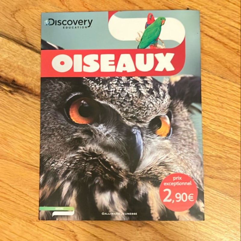 Oiseaux by Gallimard Jeunesse , Hardcover | Pangobooks