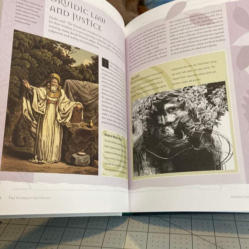 Decoding the Celts by Claire Hamilton, Steve Eddy