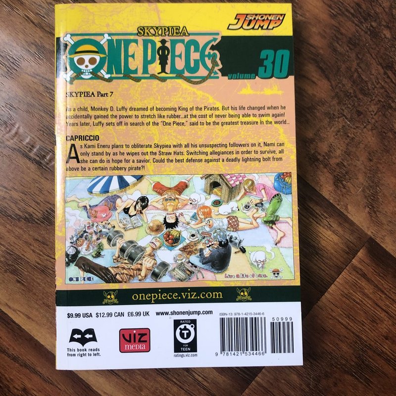 One Piece, Vol. 1 by Eiichiro Oda, Paperback | Pangobooks