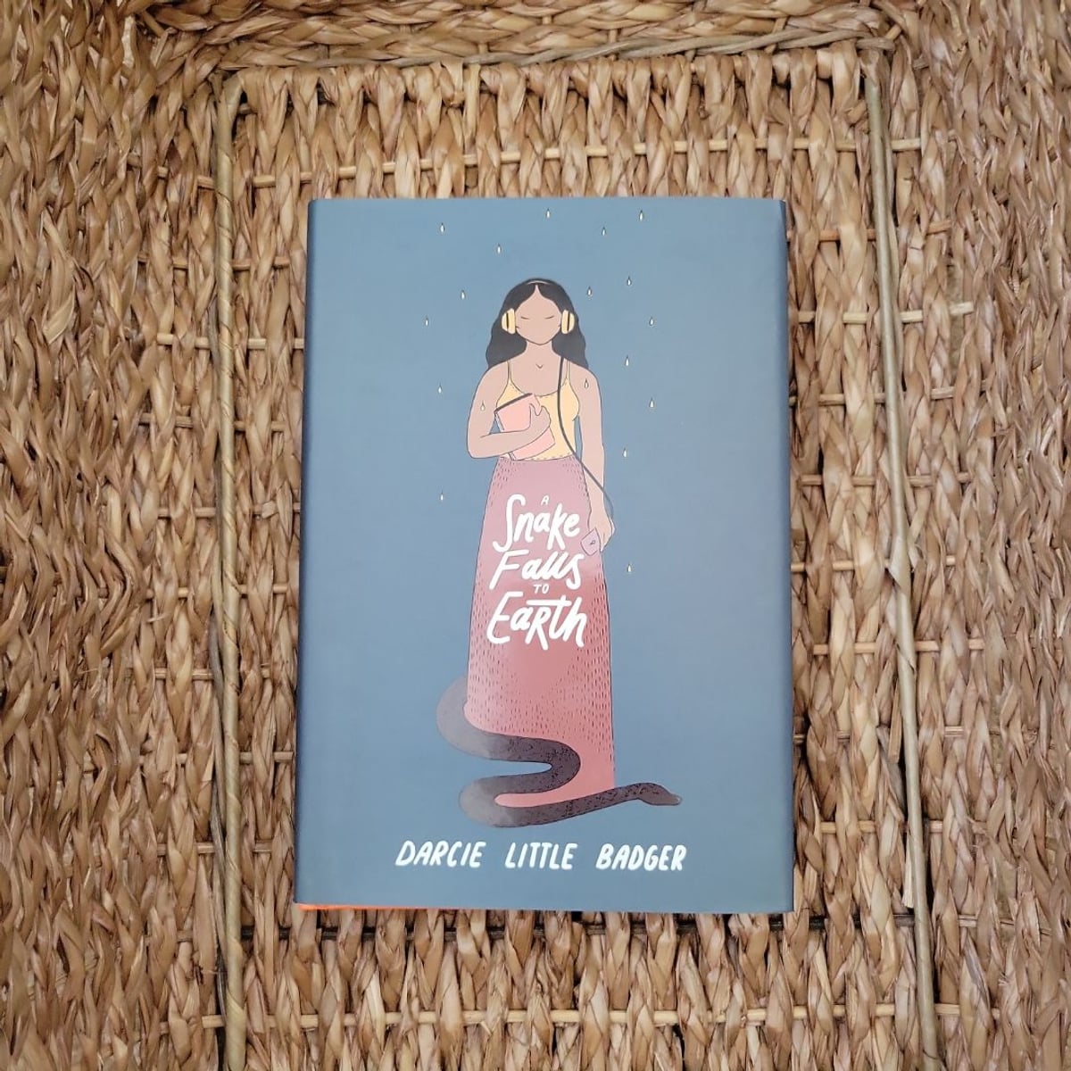 A Snake Falls to Earth by Darcie Little Badger