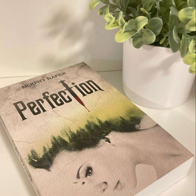 Perfection by Merphy Napier, Paperback | Pangobooks