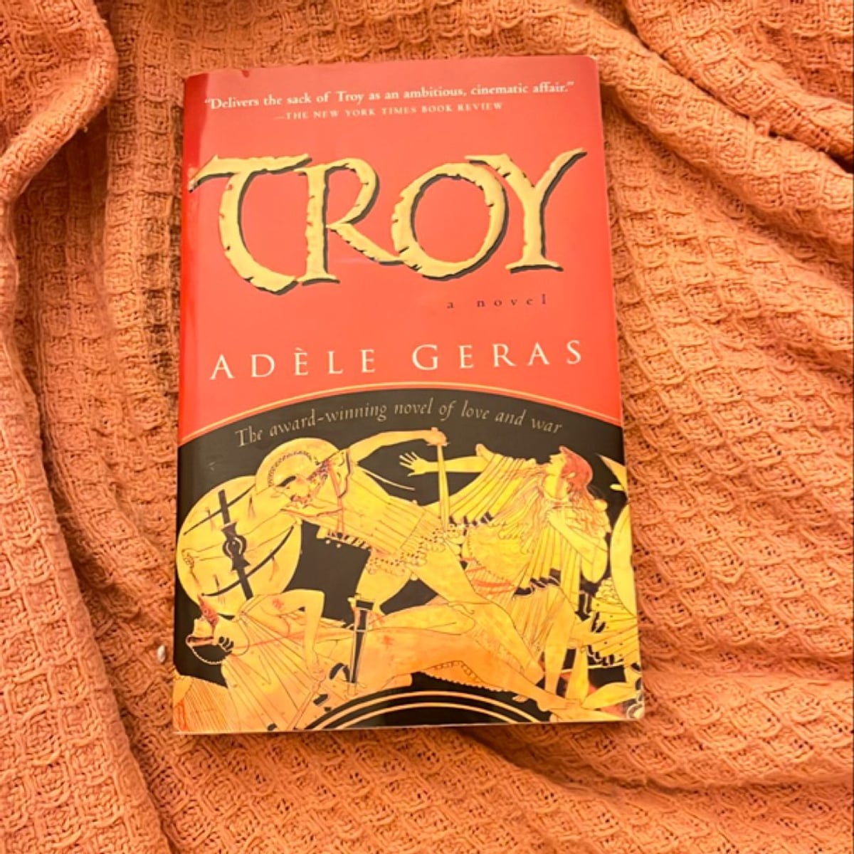 Troy by Adèle Geras
