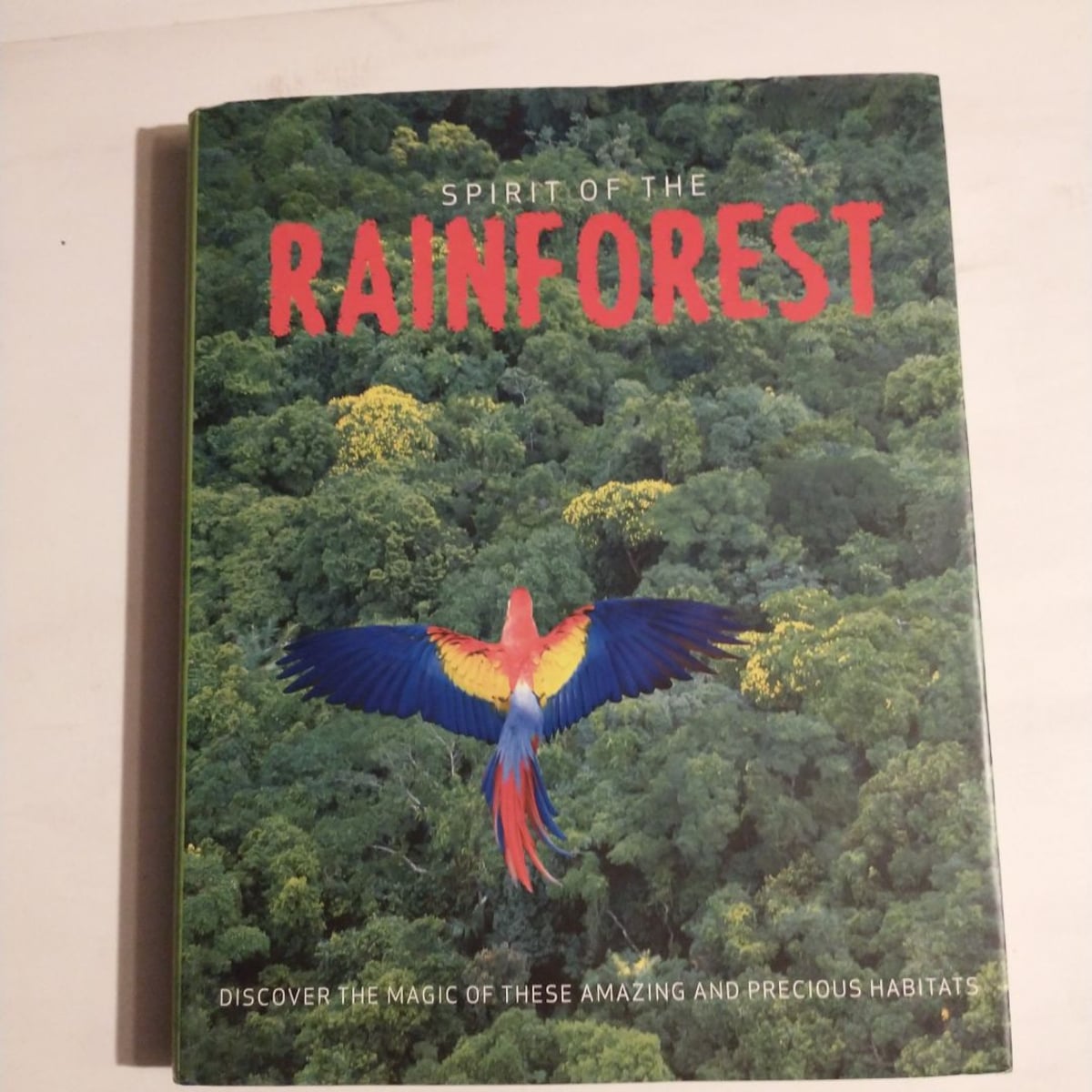 Spirit of the Rainforest by Gill Davies