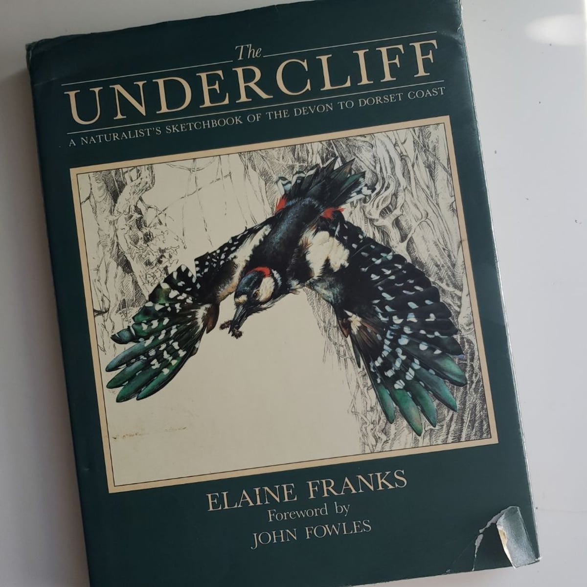 The Undercliff by Elaine Franks, John Fowles
