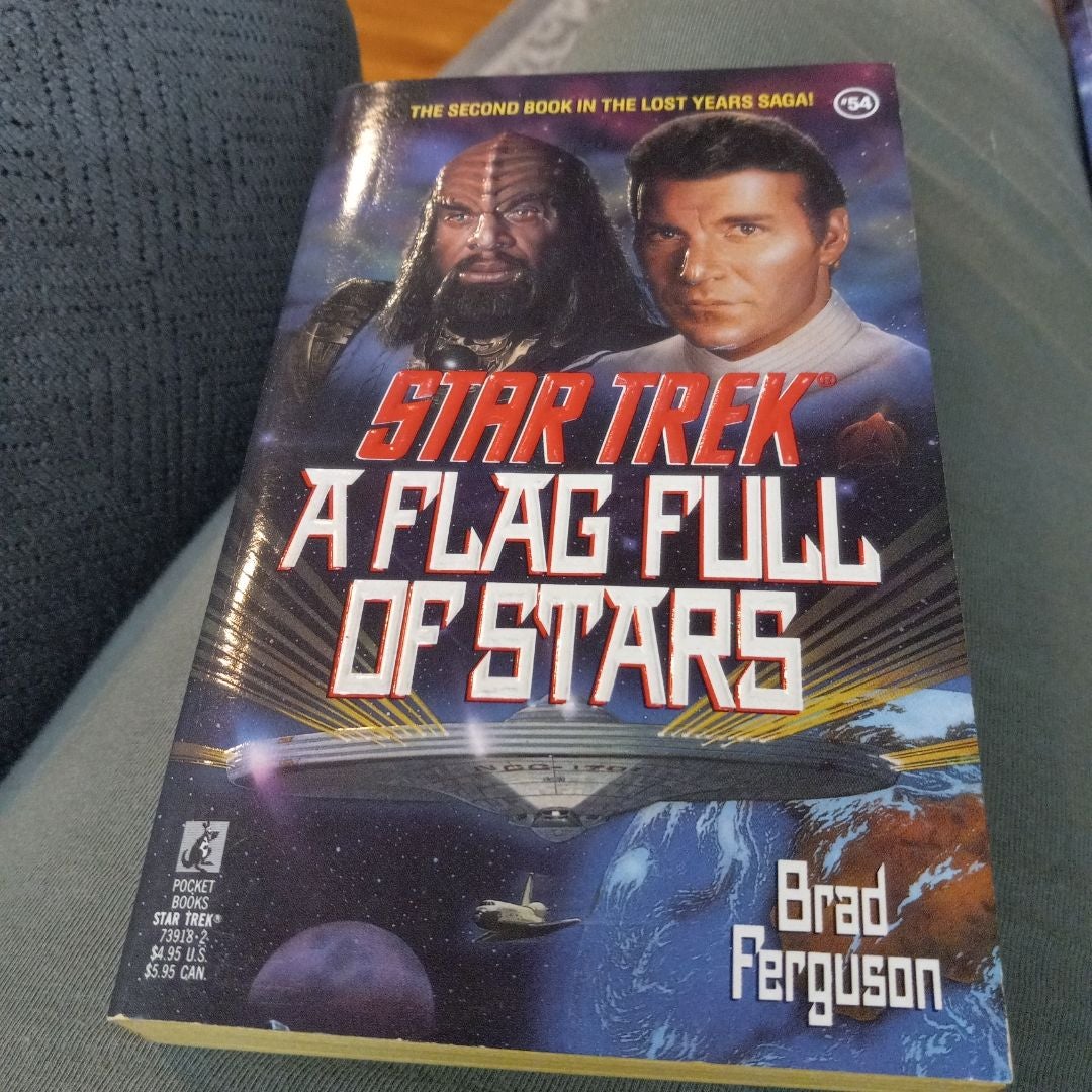 A Flag Full of Stars by Brad Ferguson