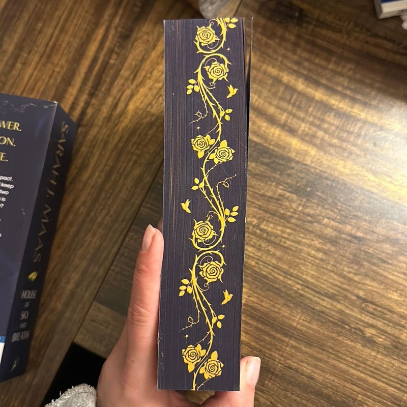 Two Twin Crowns by Catherine Doyle, Paperback | Pangobooks