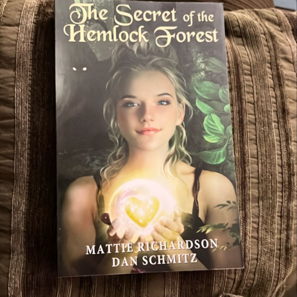 The Secret of the Hemlock Forest by Mattie Richardson, Dan Schmitz