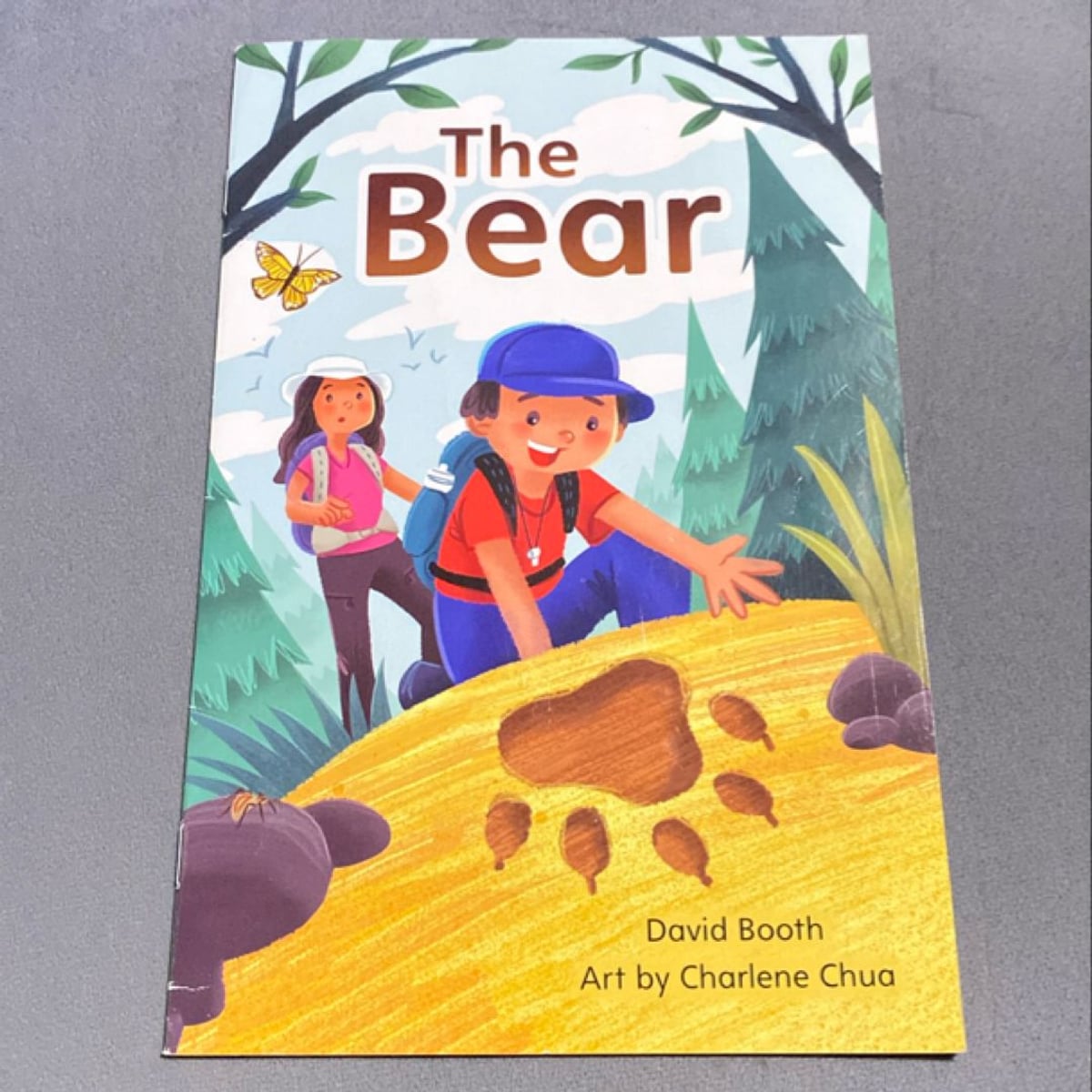 Myview Literacy 2020 Leveled Reader Grade 1: the Bear by Scott Foresman