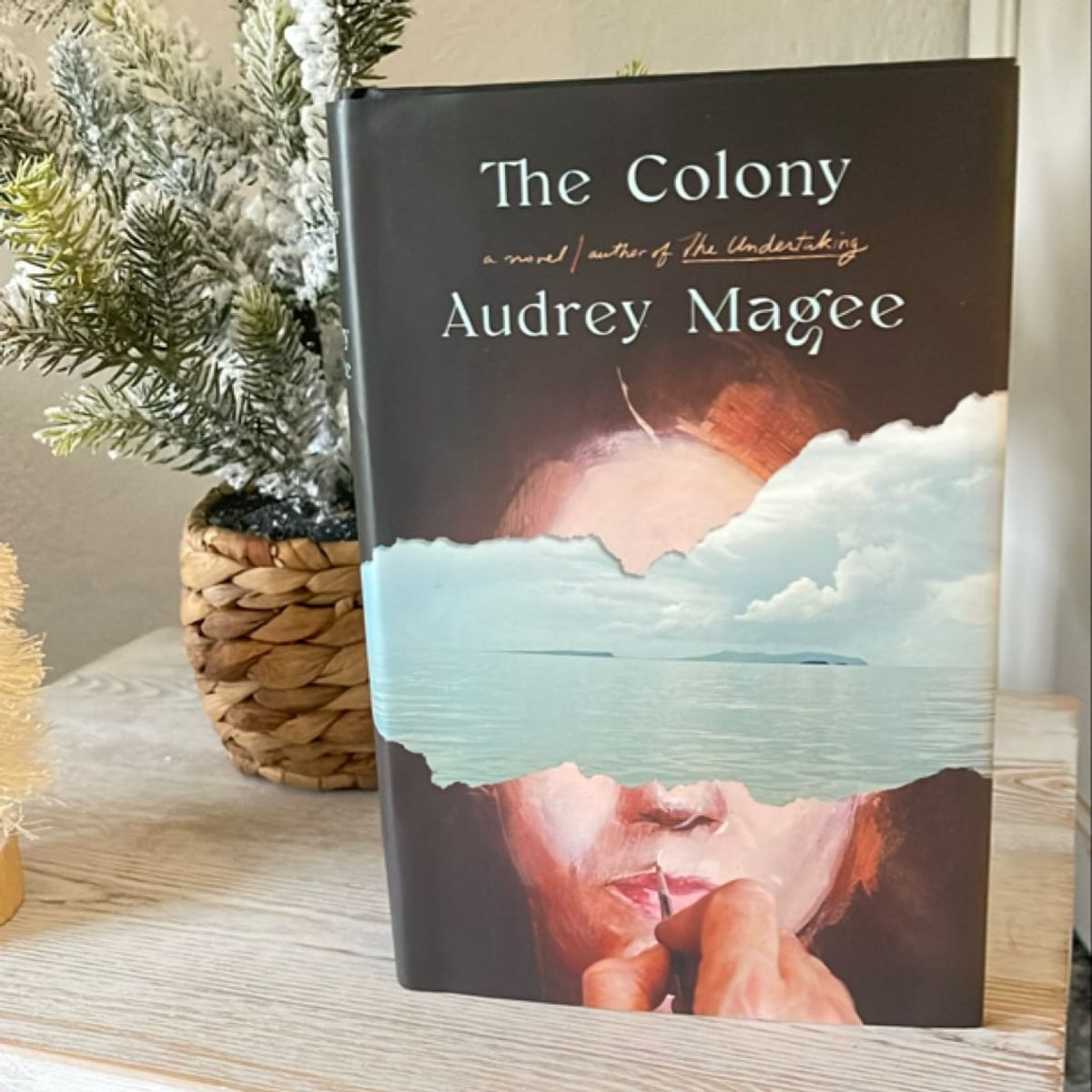 The Colony by Audrey Magee