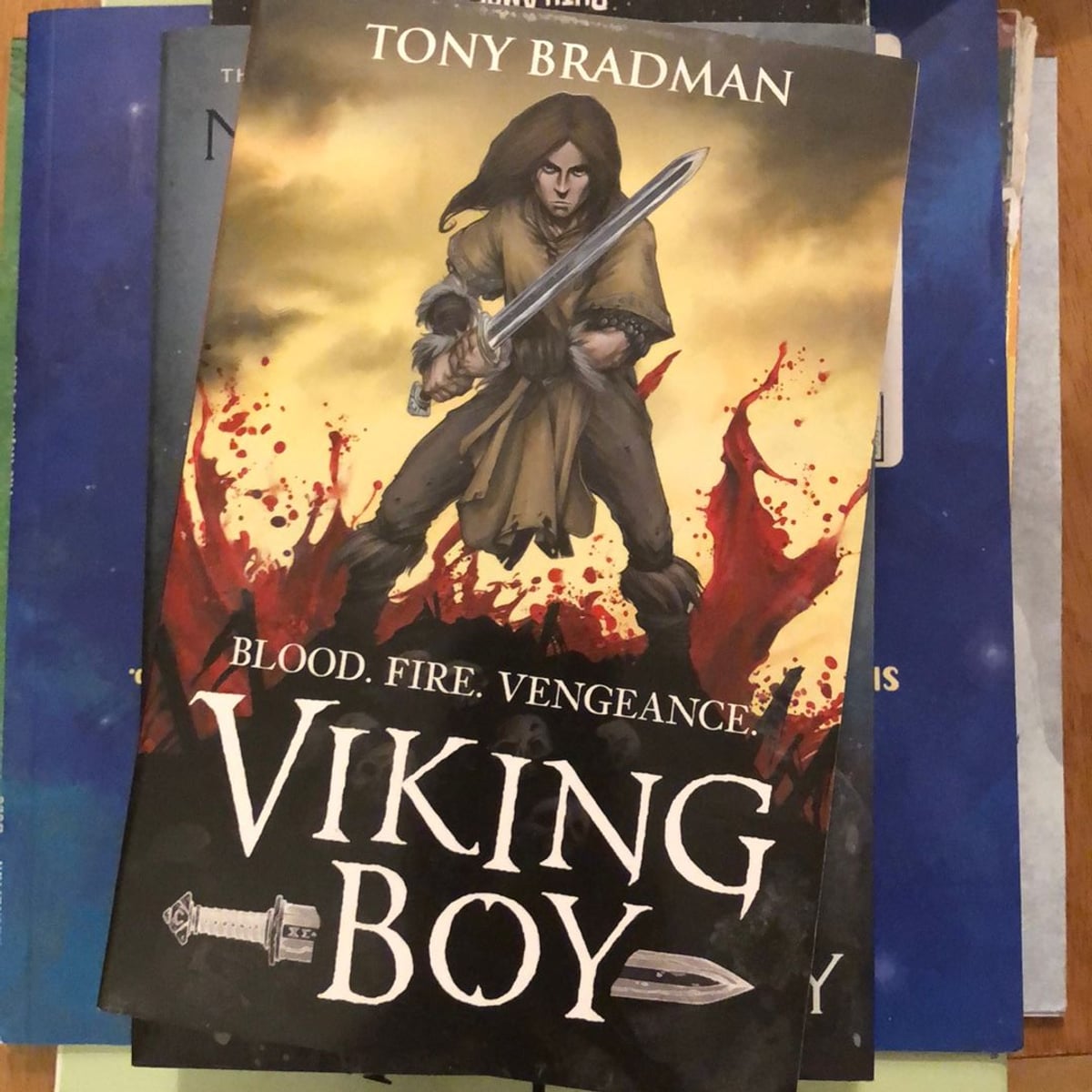 Viking Boy by Tony Bradman