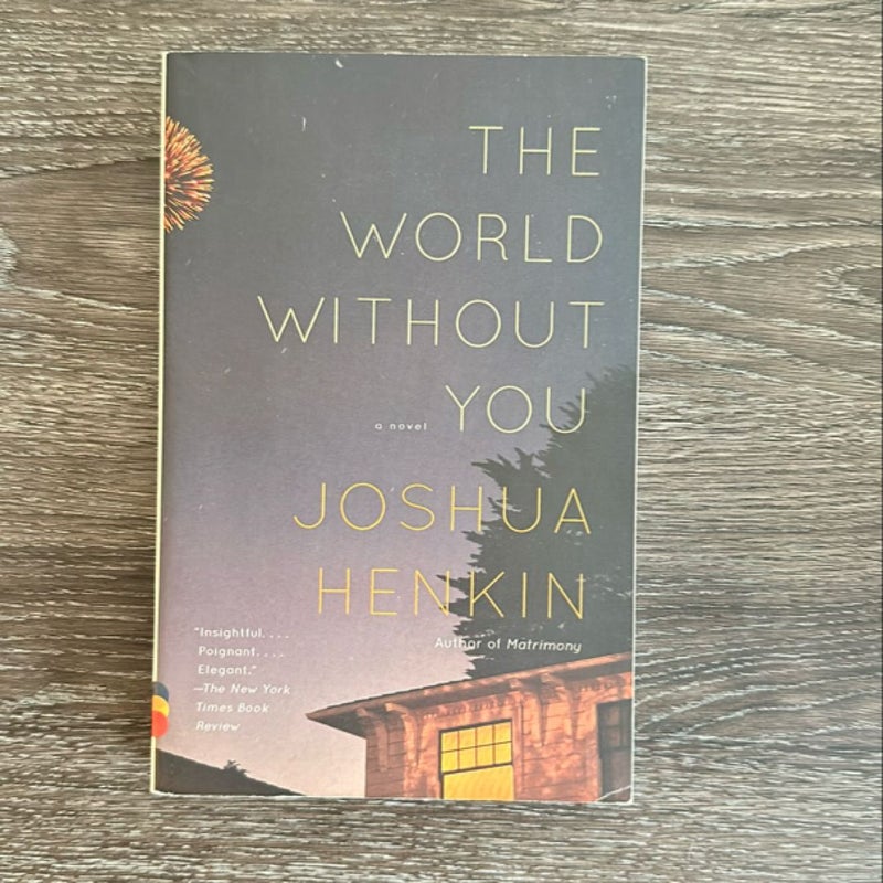 The World Without You by Joshua Henkin