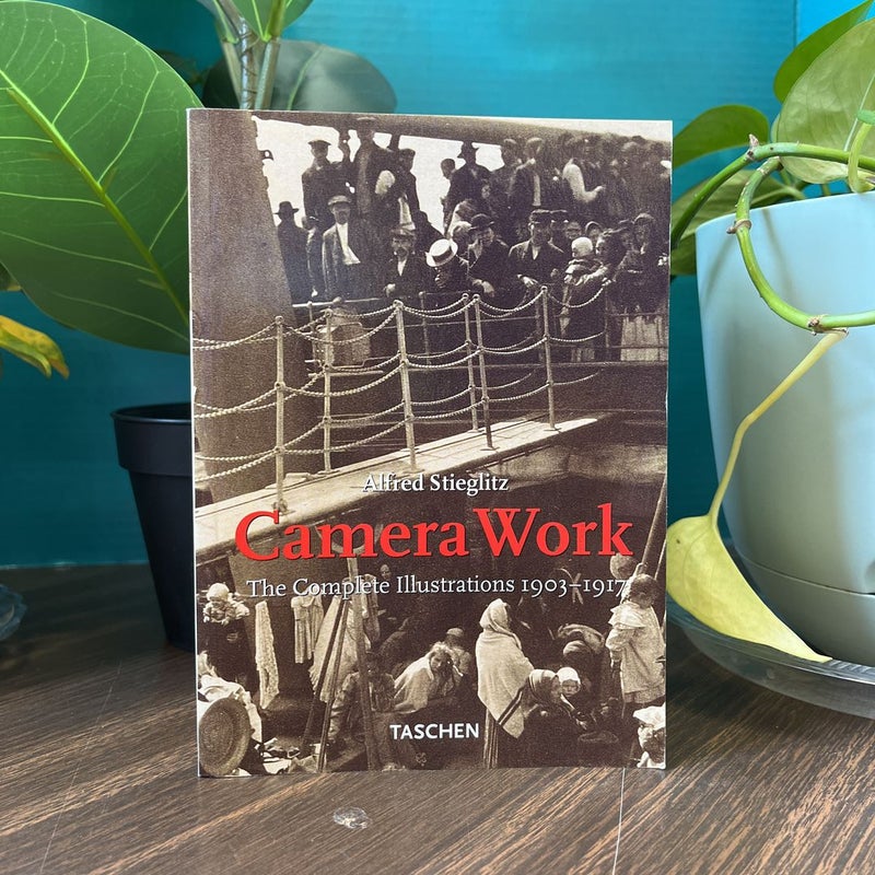 Camera Work by Alfred Stieglitz