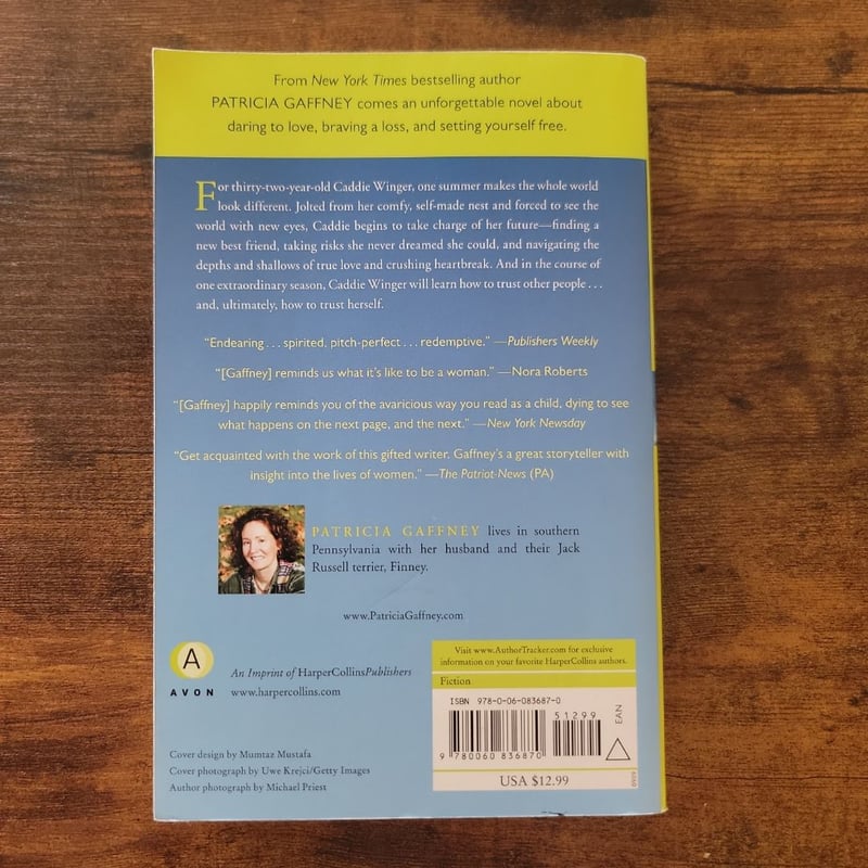 The Goodbye Summer by Patricia Gaffney, Paperback | Pangobooks