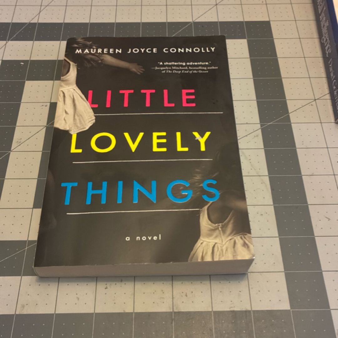 Little Lovely Things by Maureen Joyce Connolly, Paperback | Pangobooks