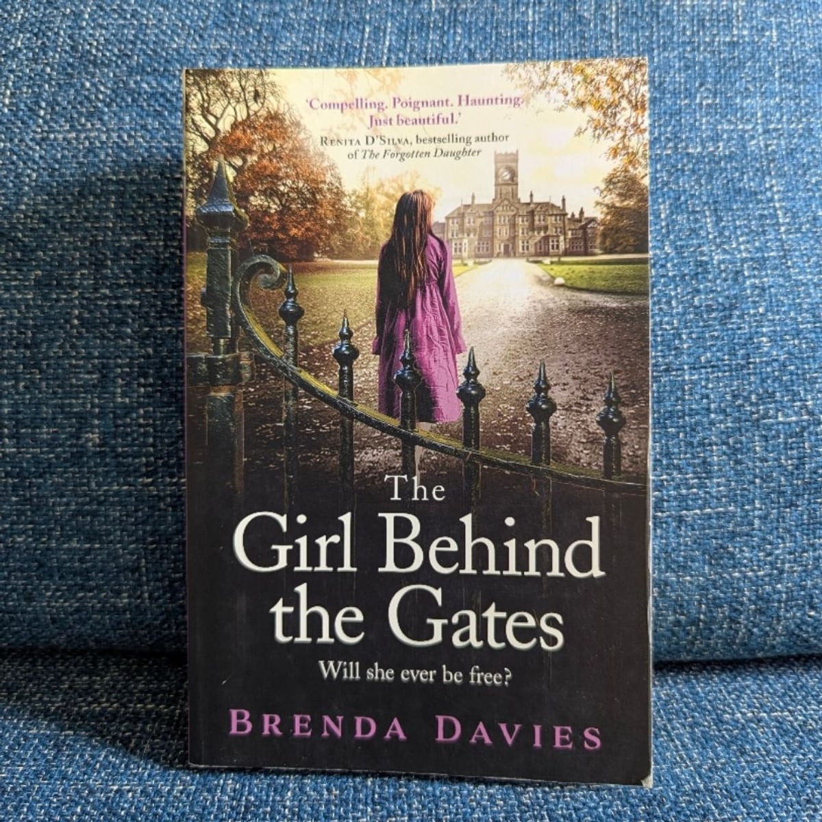 The Girl Behind the Gates by Brenda Davies