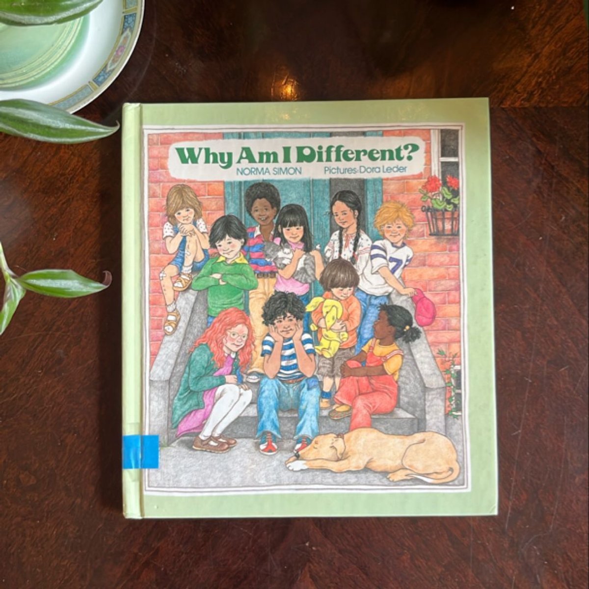 Why Am I Different? by Norma Simon