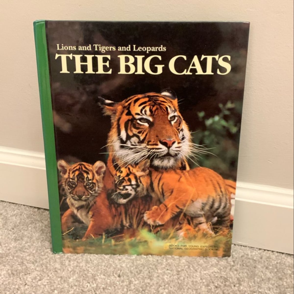 The Big Cats - Lions and Tigers and Leopards by Jennifer C. Urquhart ...