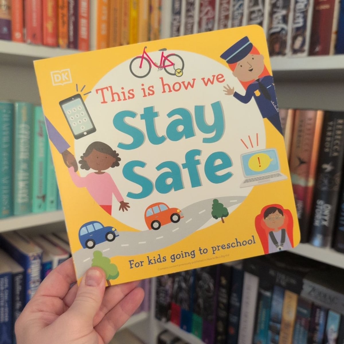This Is How We Stay Safe by DK