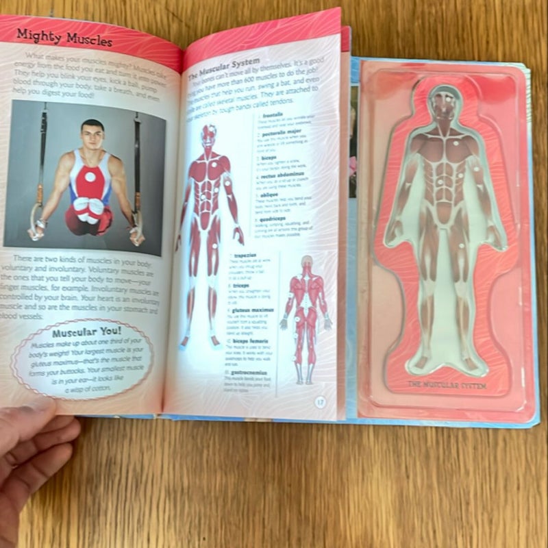 The Amazing Human Machine by Lori C. Froeb