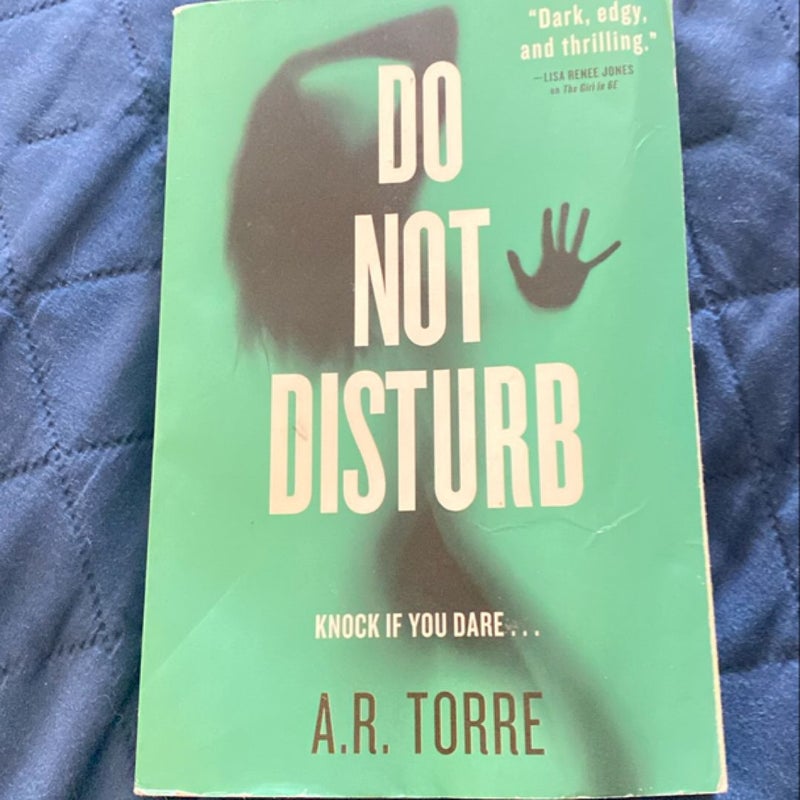 Do Not Disturb by A. R. Torre, Paperback | Pangobooks