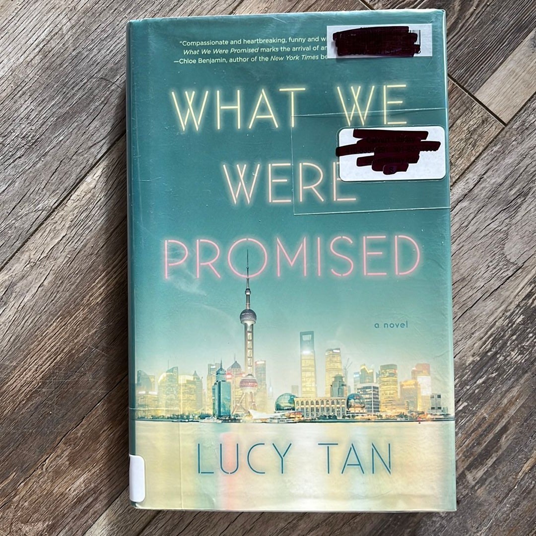 What We Were Promised by Lucy Tan