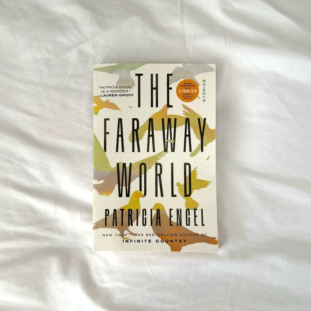 The Faraway World by Patricia Engel