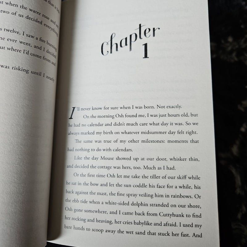 Beyond the Bright Sea by Lauren Wolk