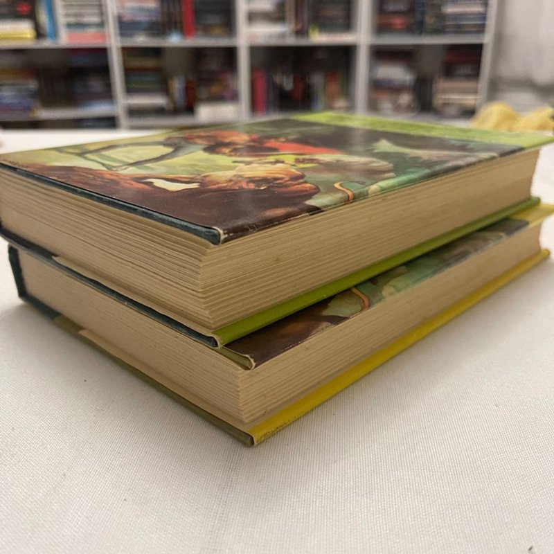 The Chronicles of Amber Volume 1 & 2 by Roger Zelazny, Hardcover ...