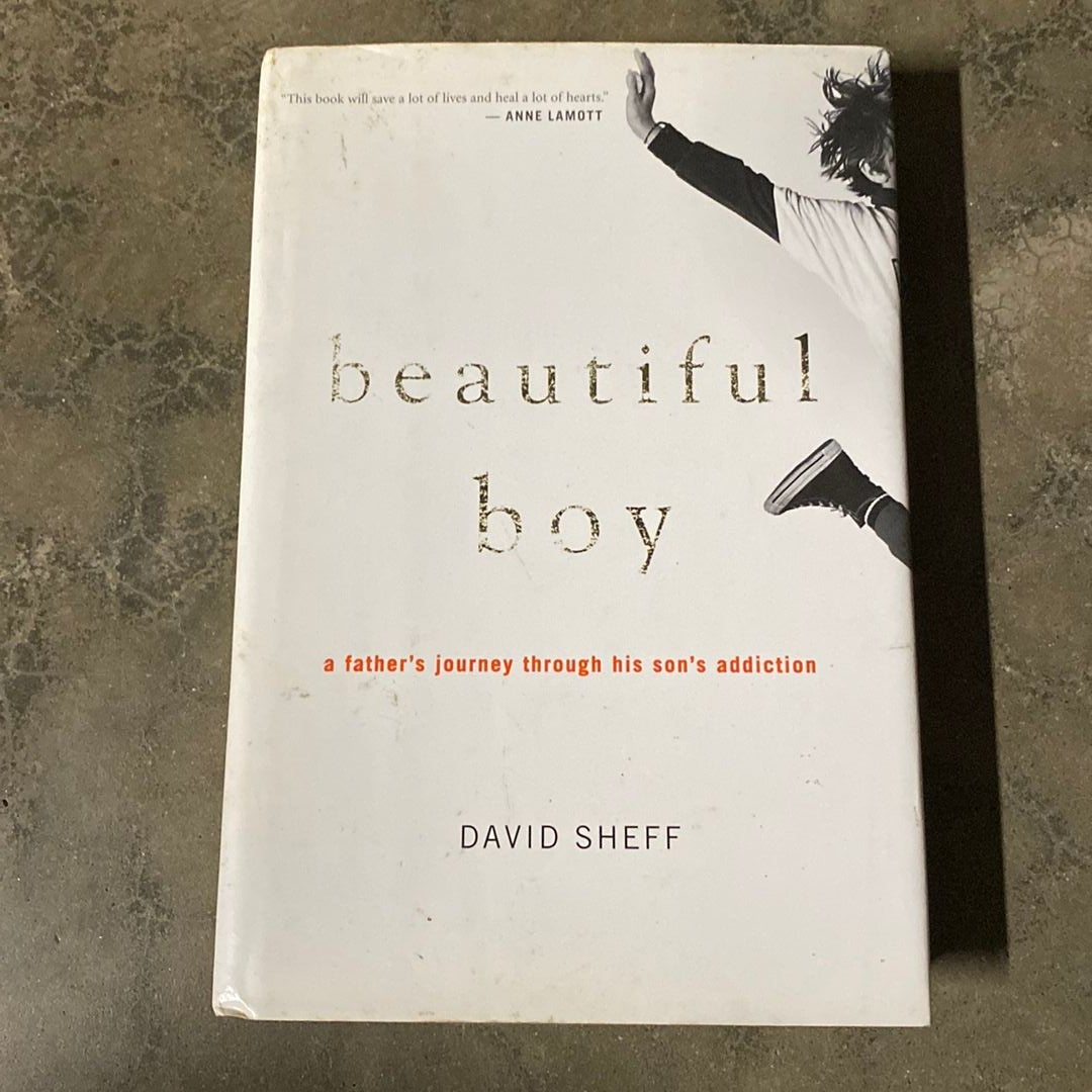 Beautiful Boy by David Sheff, Hardcover | Pangobooks