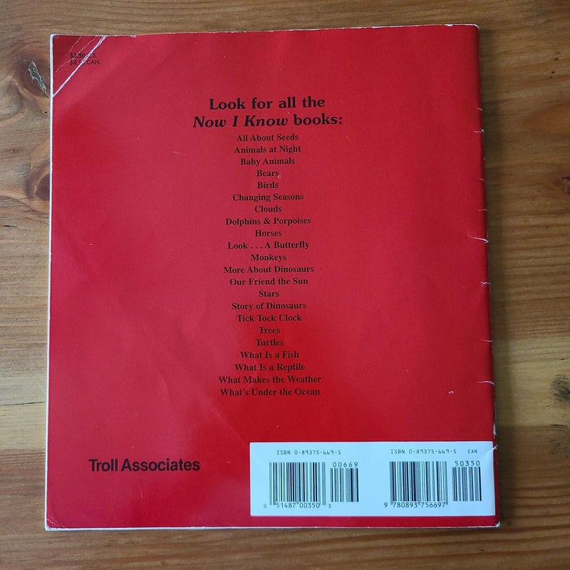 More about Dinosaurs by David Cutts