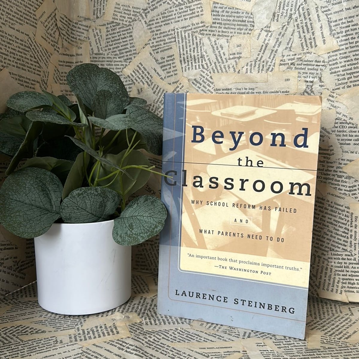 Beyond the Classroom by Laurence Steinberg, Paperback | Pangobooks