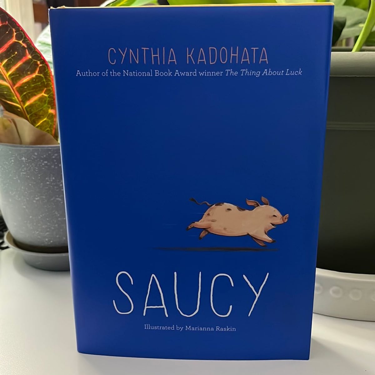 Saucy by Cynthia Kadohata