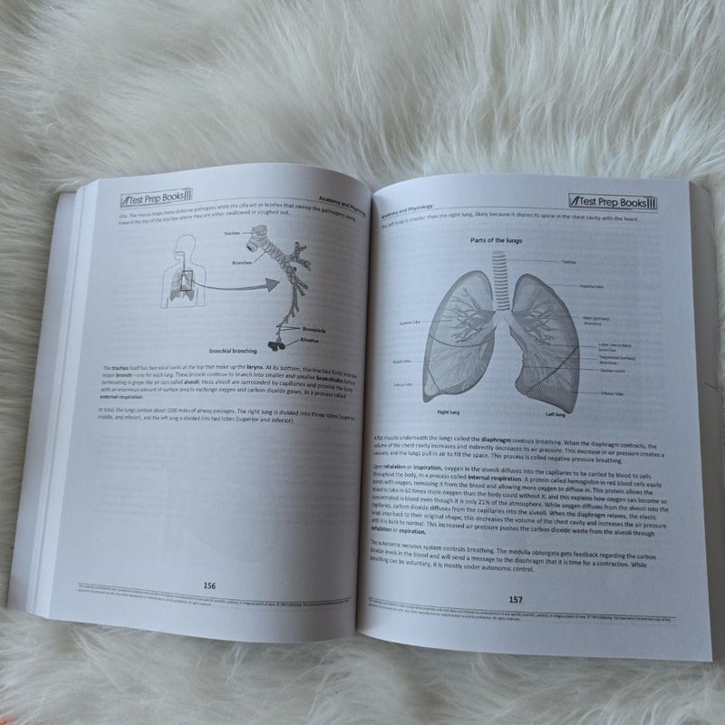 HESI A2 Study Guide 2023-2024 by Joshua Rueda