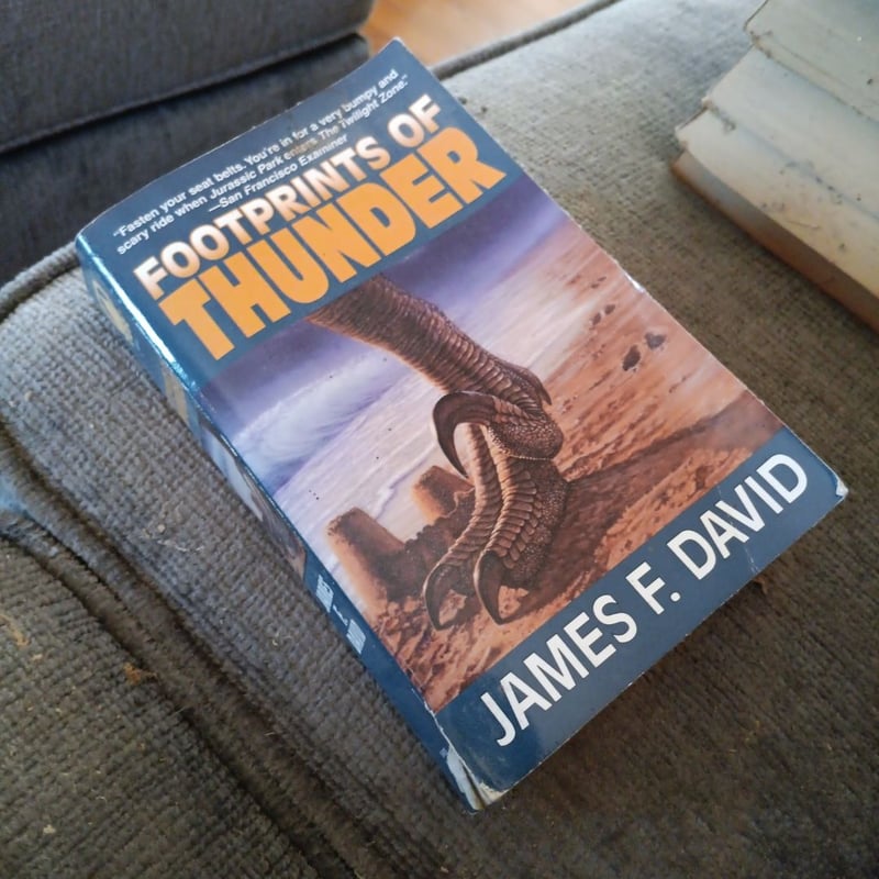 Footprints of Thunder by James F. David