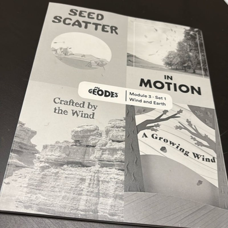 Geodes Level 1 My Geodes BW Book Compilation, Mod 3 Set 1 -- Spanish by ...