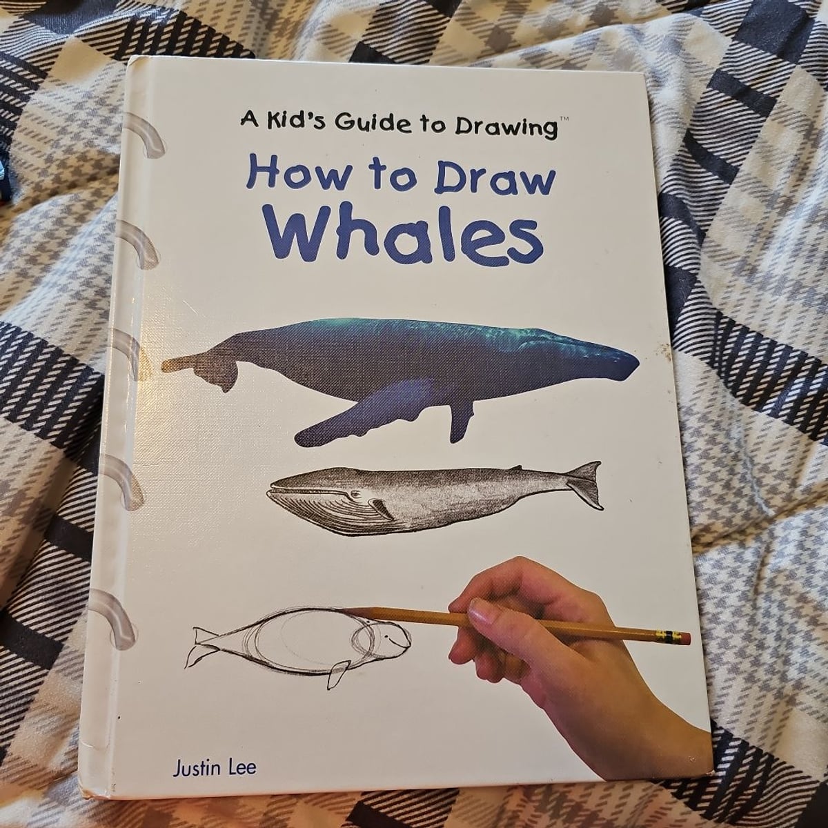 How to Draw Whales by Justin Lee