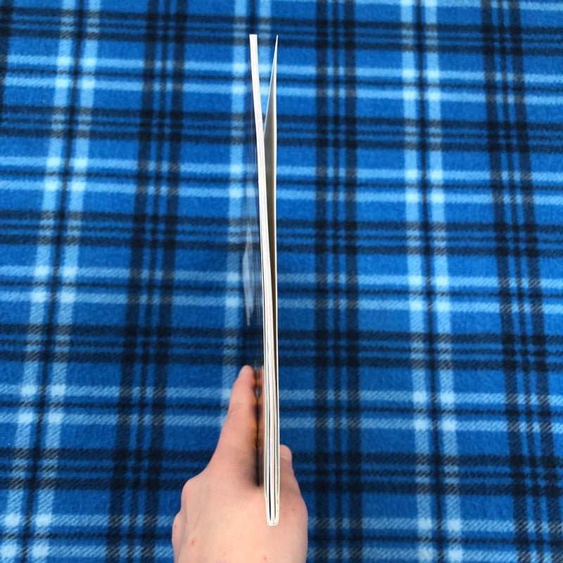 How to Dig a Hole to the Other Side of the World by Faith McNulty ...