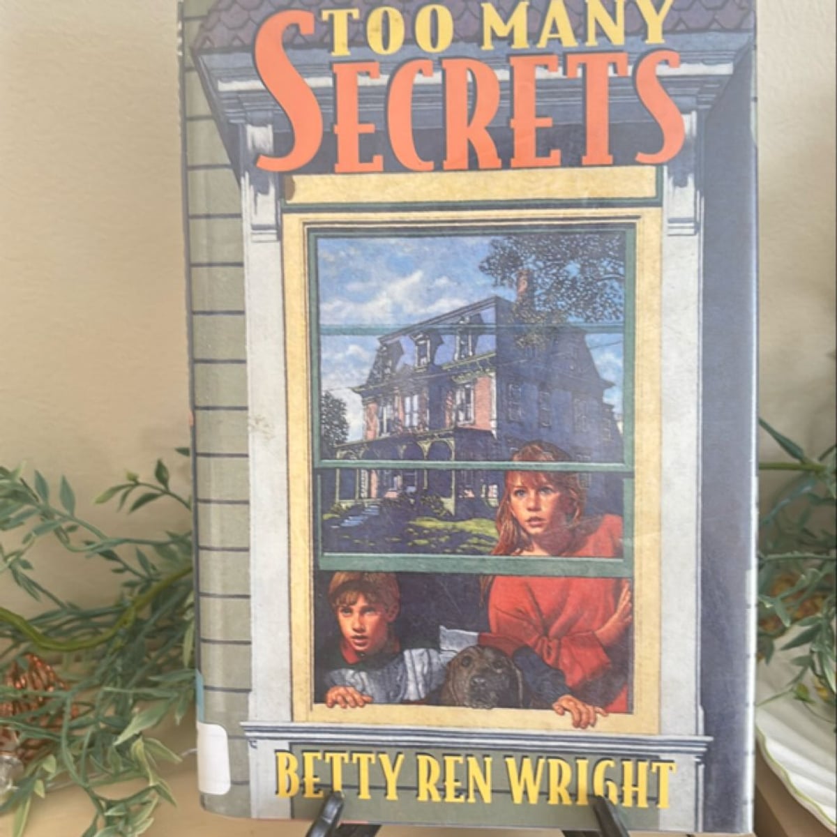 Too Many Secrets by Betty Ren Wright