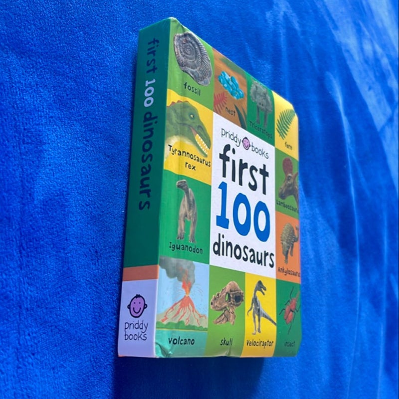 First 100: First 100 Dinosaurs by Roger Priddy, Hardcover | Pangobooks