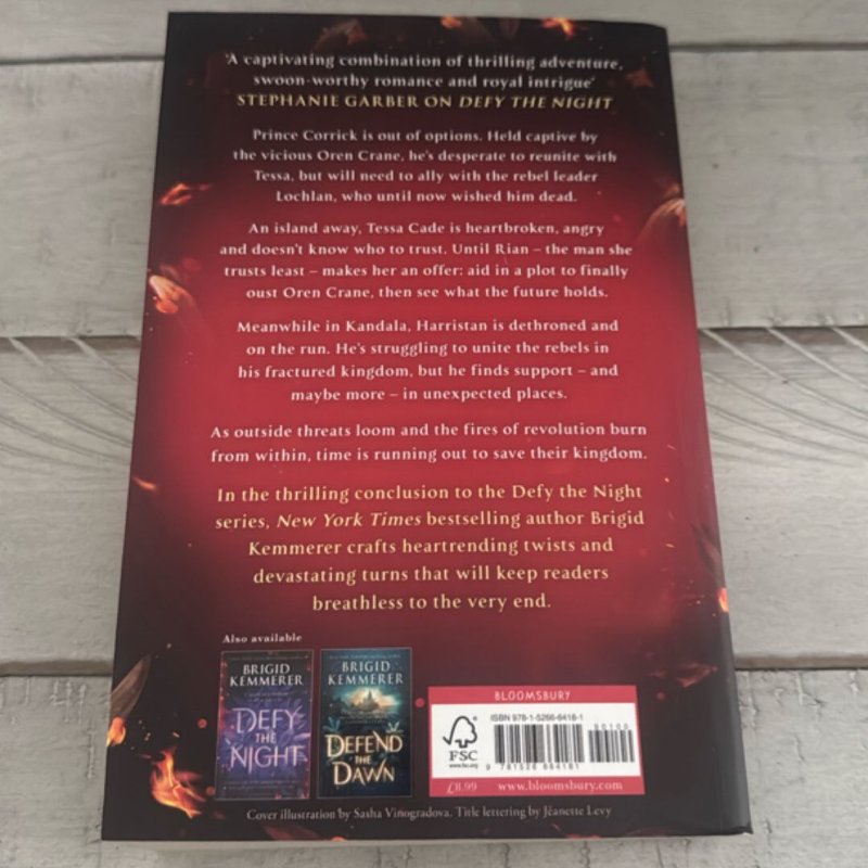 Destroy the Day by Brigid Kemmerer, Paperback | Pangobooks