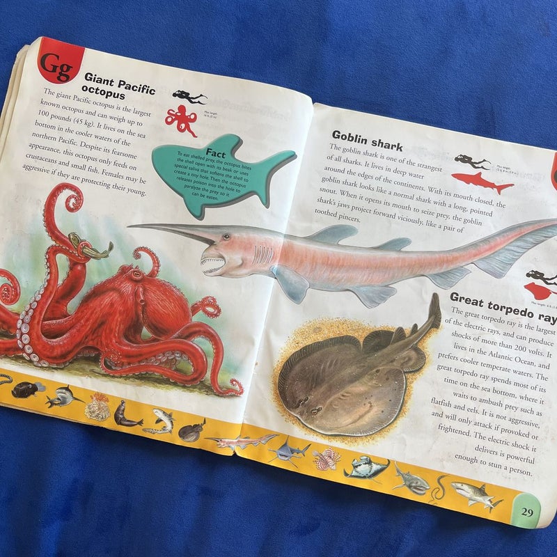 Shark and Other Sea Creatures Dictionary