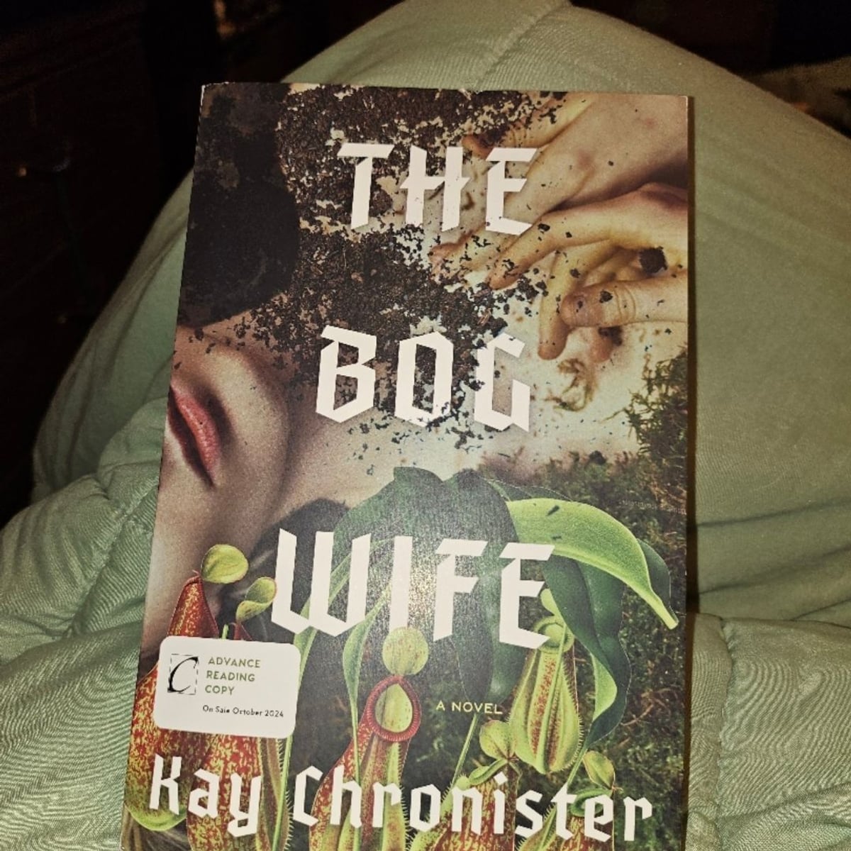 The Bog Wife (arc) by Kay Chronister, Paperback | Pangobooks