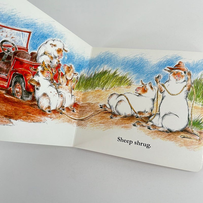 Sheep in a Jeep by Nancy Shaw, Hardcover | Pangobooks