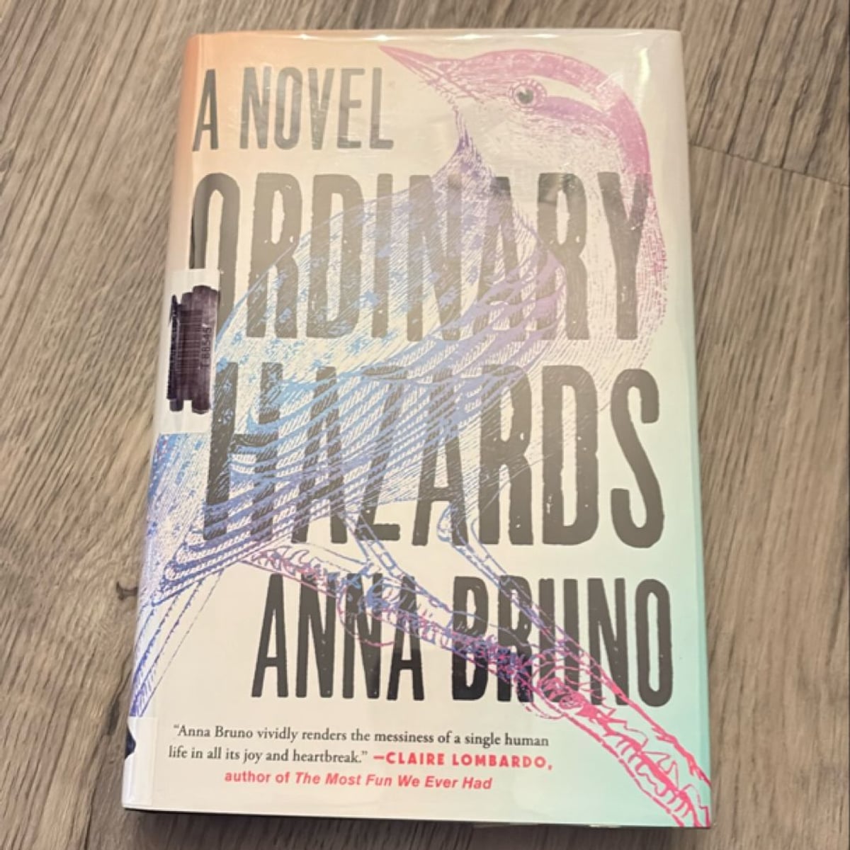 Ordinary Hazards by Anna Bruno