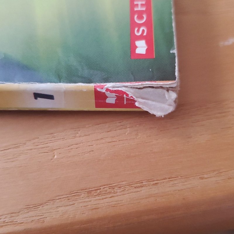 The Roar of the Crowd by Rich Wallace, Paperback | Pangobooks