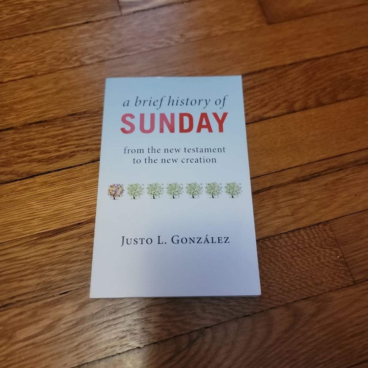 A Brief History of Sunday by Justo L. González